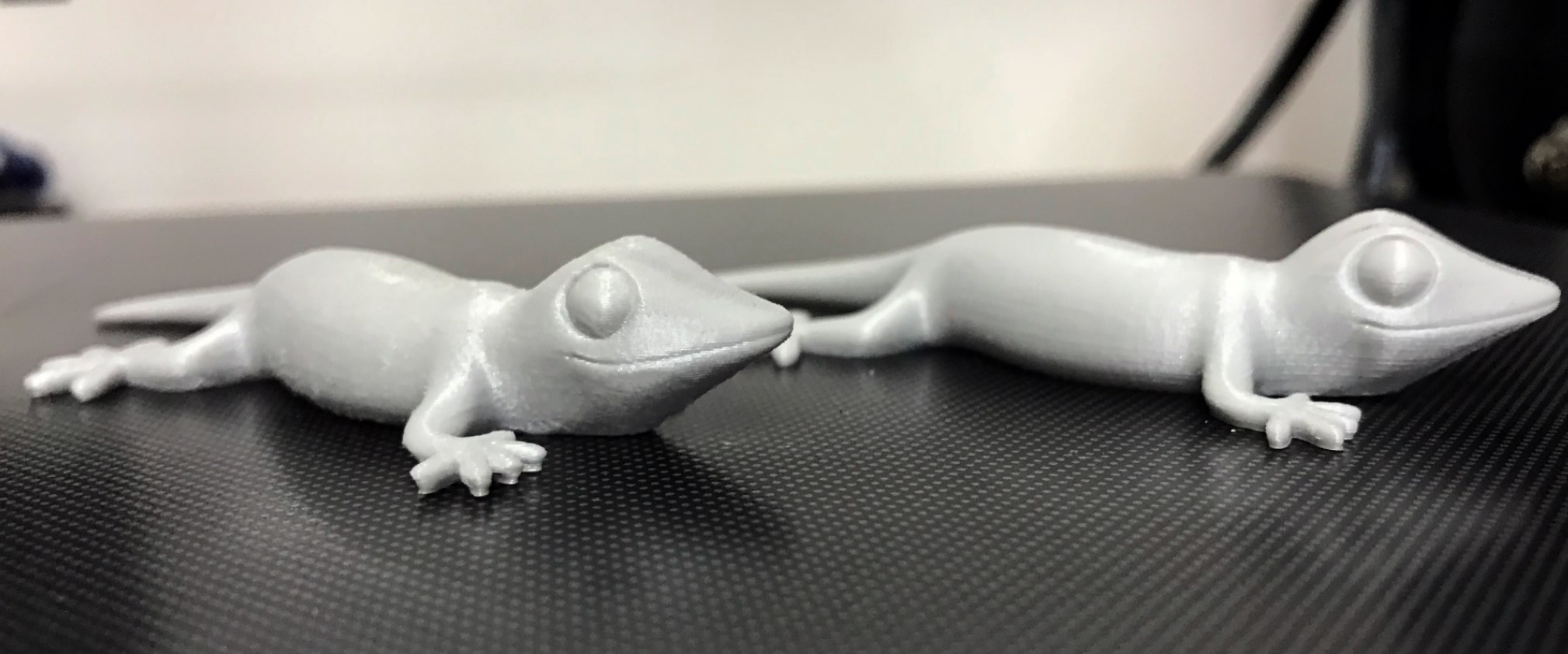 geckos – drucktipps3d.de